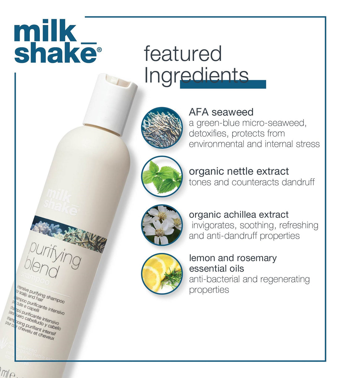 milk_shake purifying blend shampoo – milkshakeindia